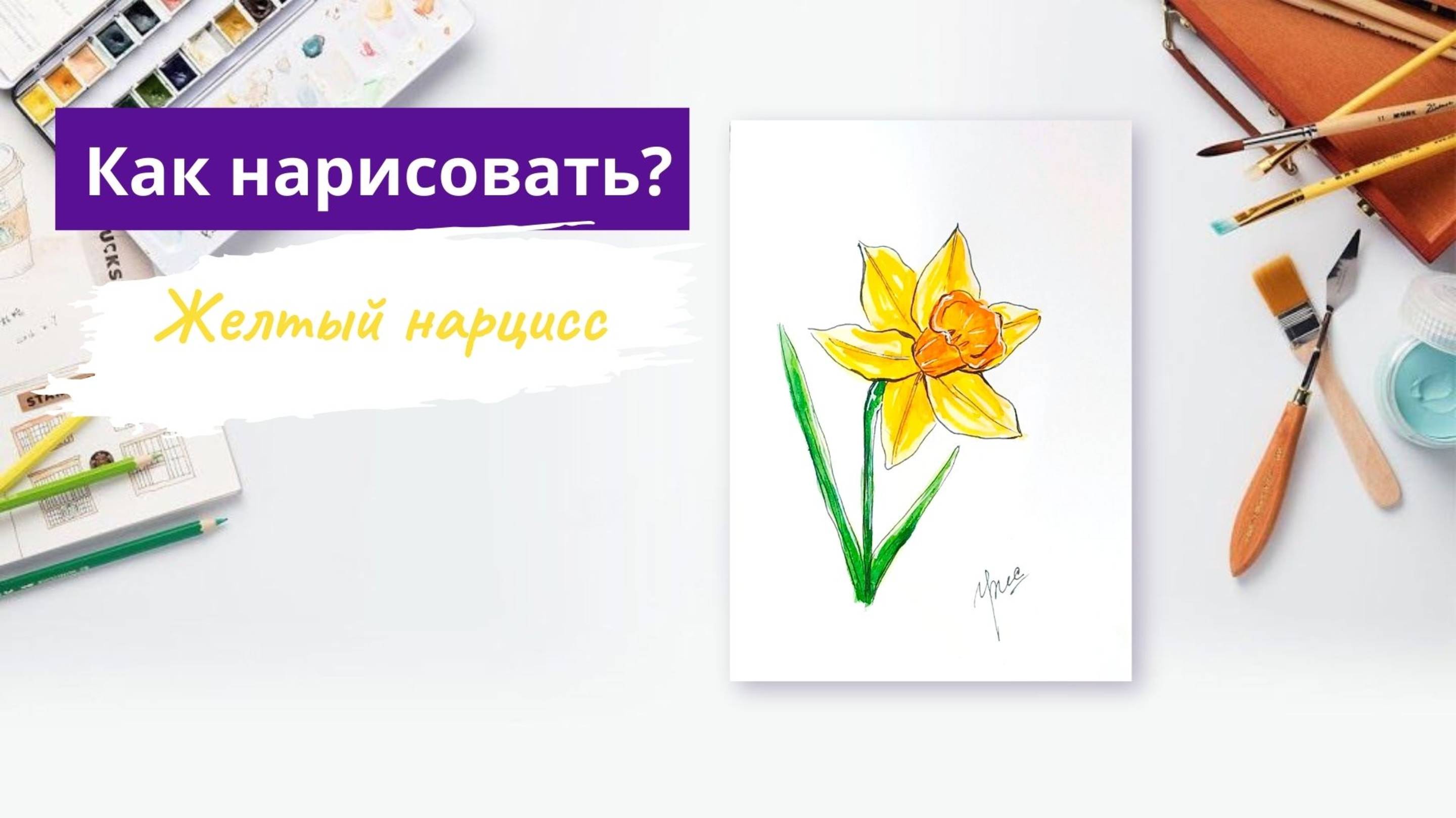 Как нарисовать желтый нарцисс