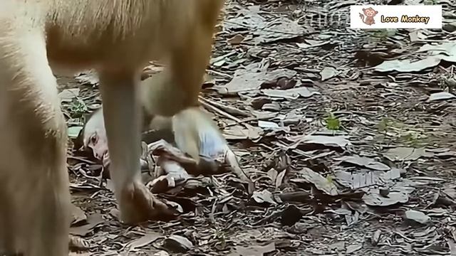 Опасный плен.