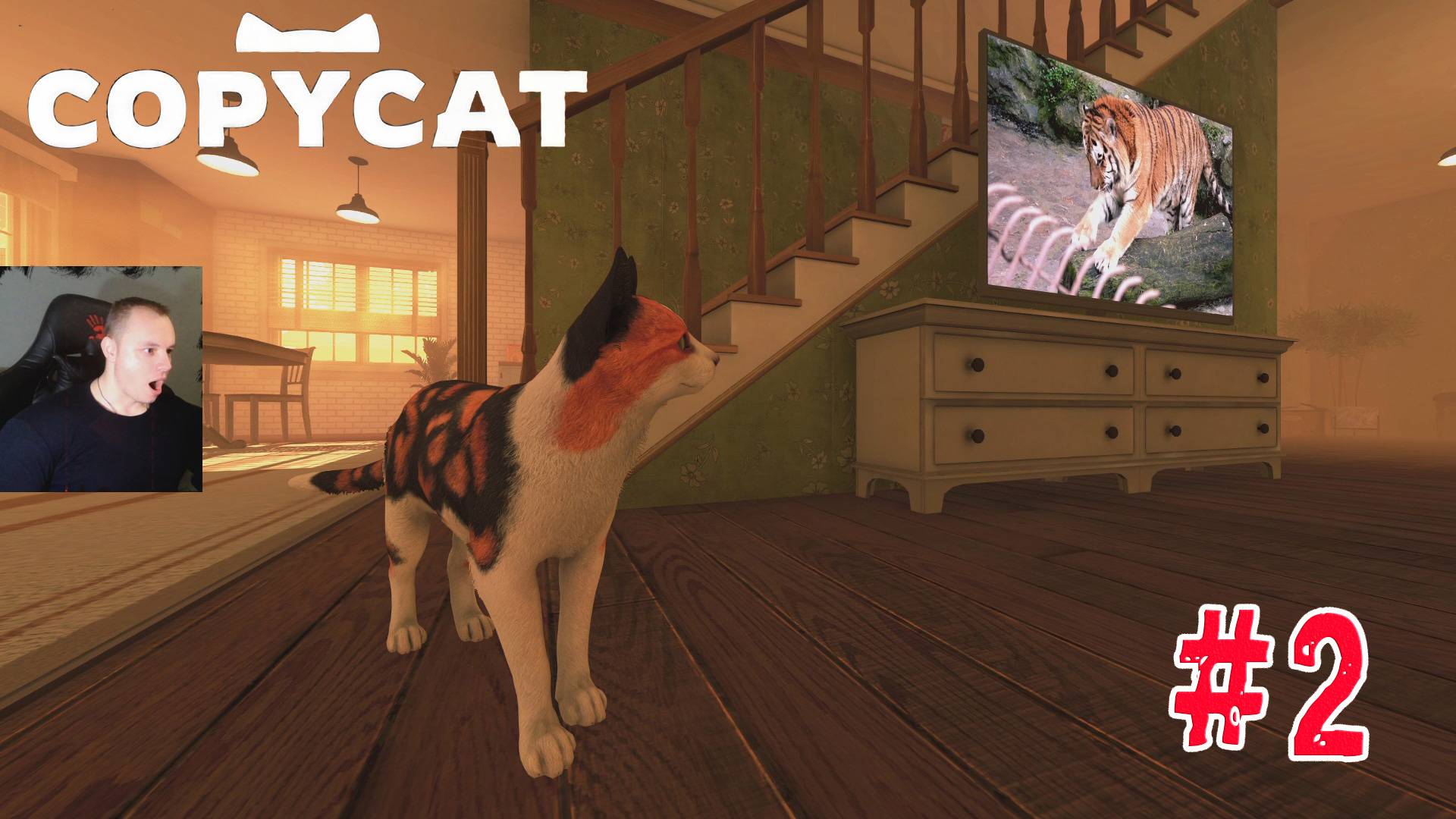 Copycat #2 ➤ Прохождение игры Копикэт ➤ Играем за Кошку