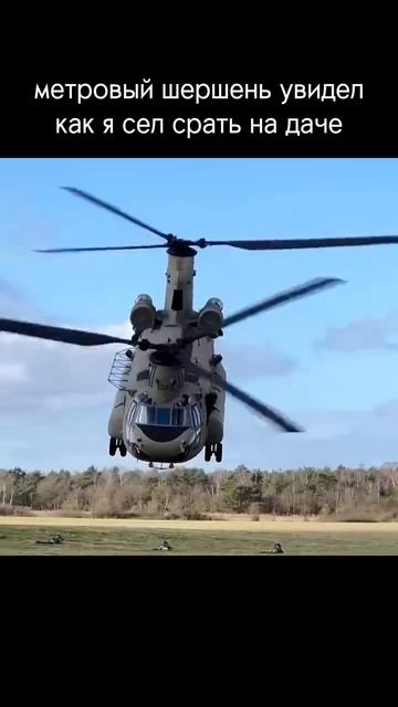 шершень на даче когда ты сел срать