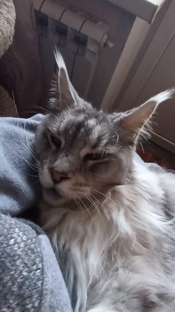 Ларс пришел на ручки.