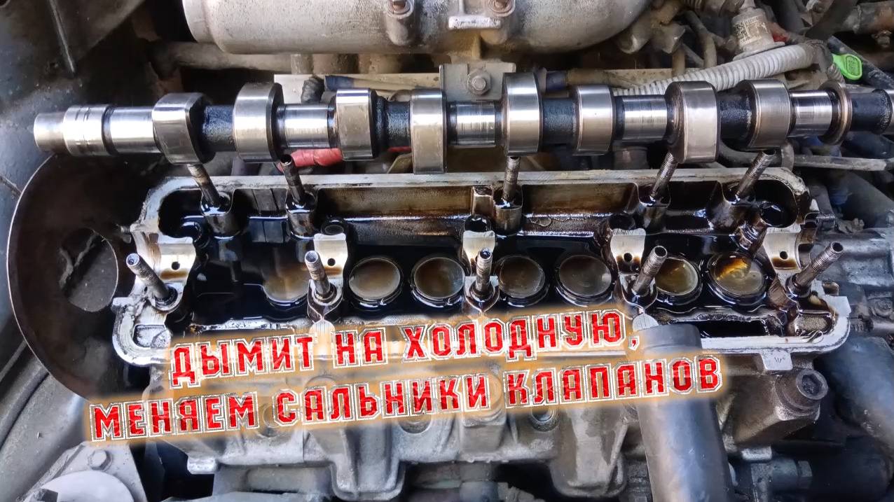 ДЫМИТ НА ХОЛОДНУЮ, МЕНЯЕМ САЛЬНИКИ КЛАПАНОВ