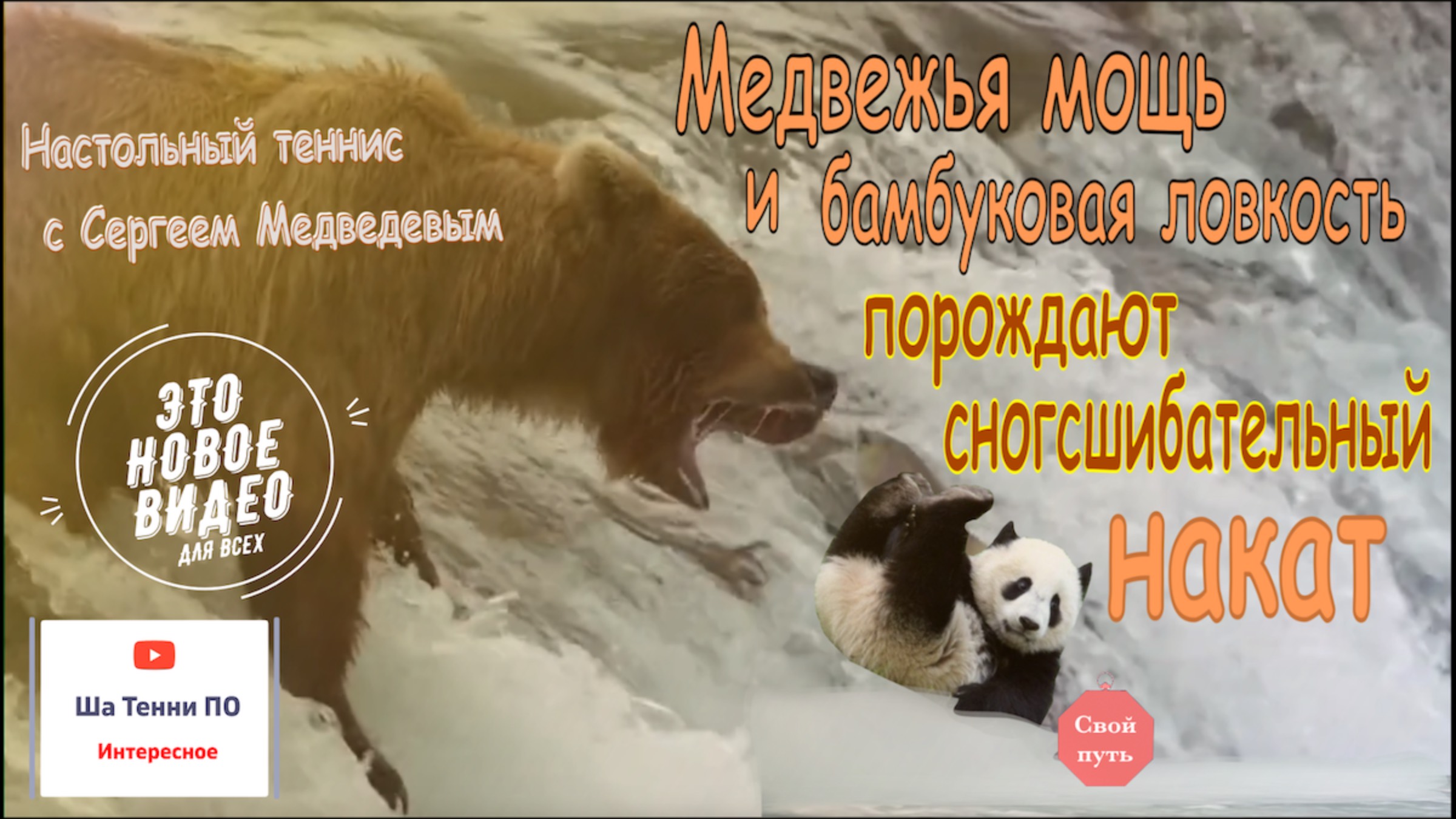 Накат-приведение к эталону.Настольный теннис с С.Медведевым! #game #training #shatennipo #exercise