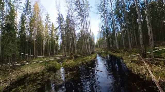 полоса препятствий