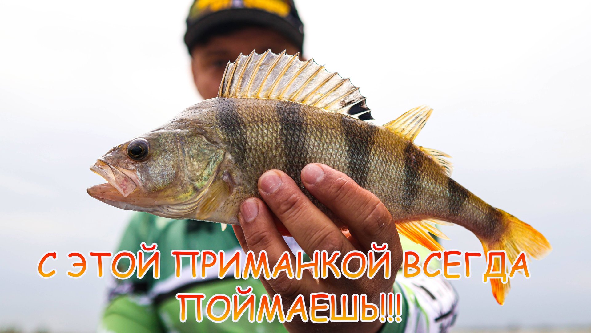 МИКРОДЖИГ! С этой ПРИМАНКОЙ всегда поймаешь 💪 Судак, берш, окунь её жрут 👍