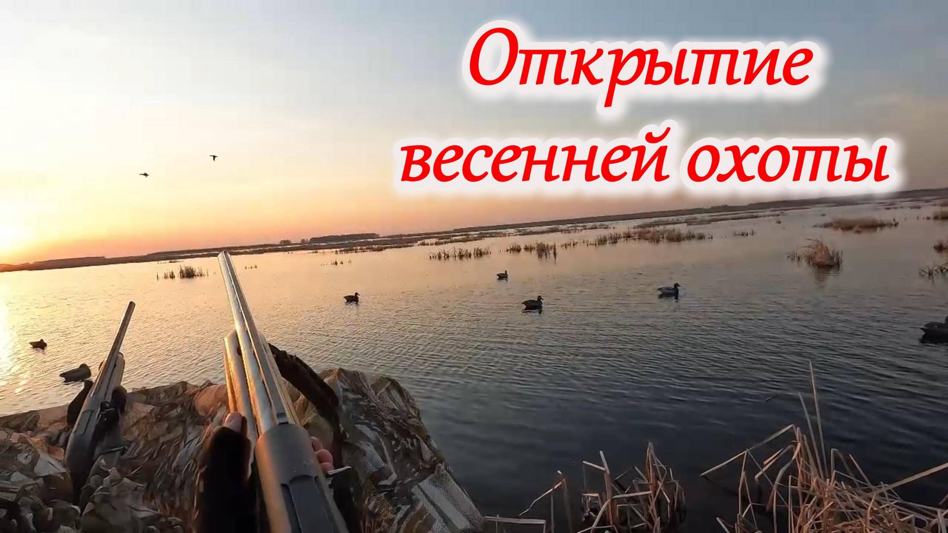 Открытие весенней охоты Тест манков Hunterhelp