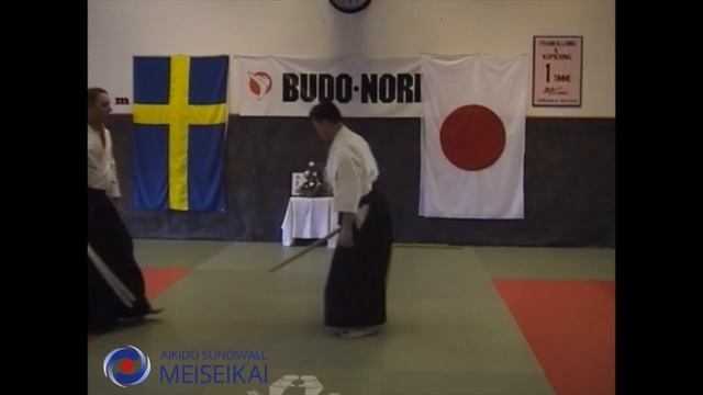 20 Aikido Ken Tai Ken Yokomen Uchi Iriminage, Shishiya Sensei 2003