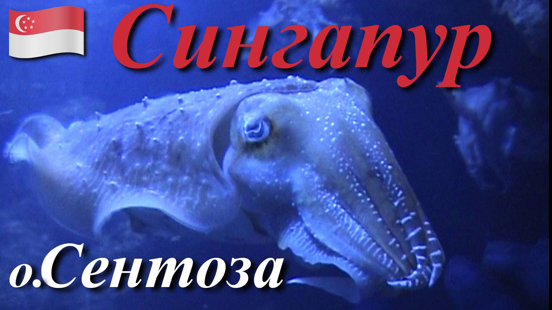 Сингапур. Остров Сентоза.