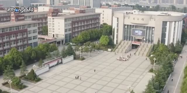 Обзор школы