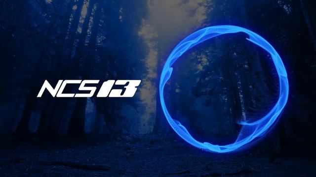 RIOT & Sippy - Pump Up The Bassline ｜ Dubstep ｜ NCS13 - Copyright Free Music