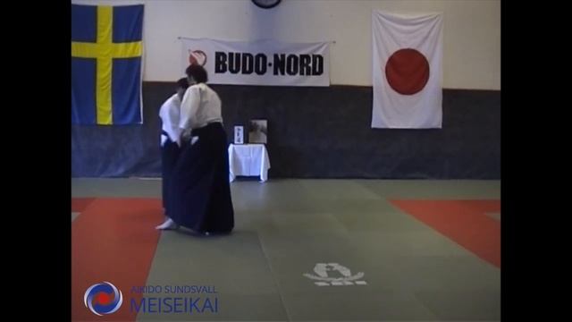 10 Aikido Katadorimenuchi Shihonage Shishiya Sensei, Sundsvall 2004