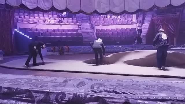 Цирк в Самаре