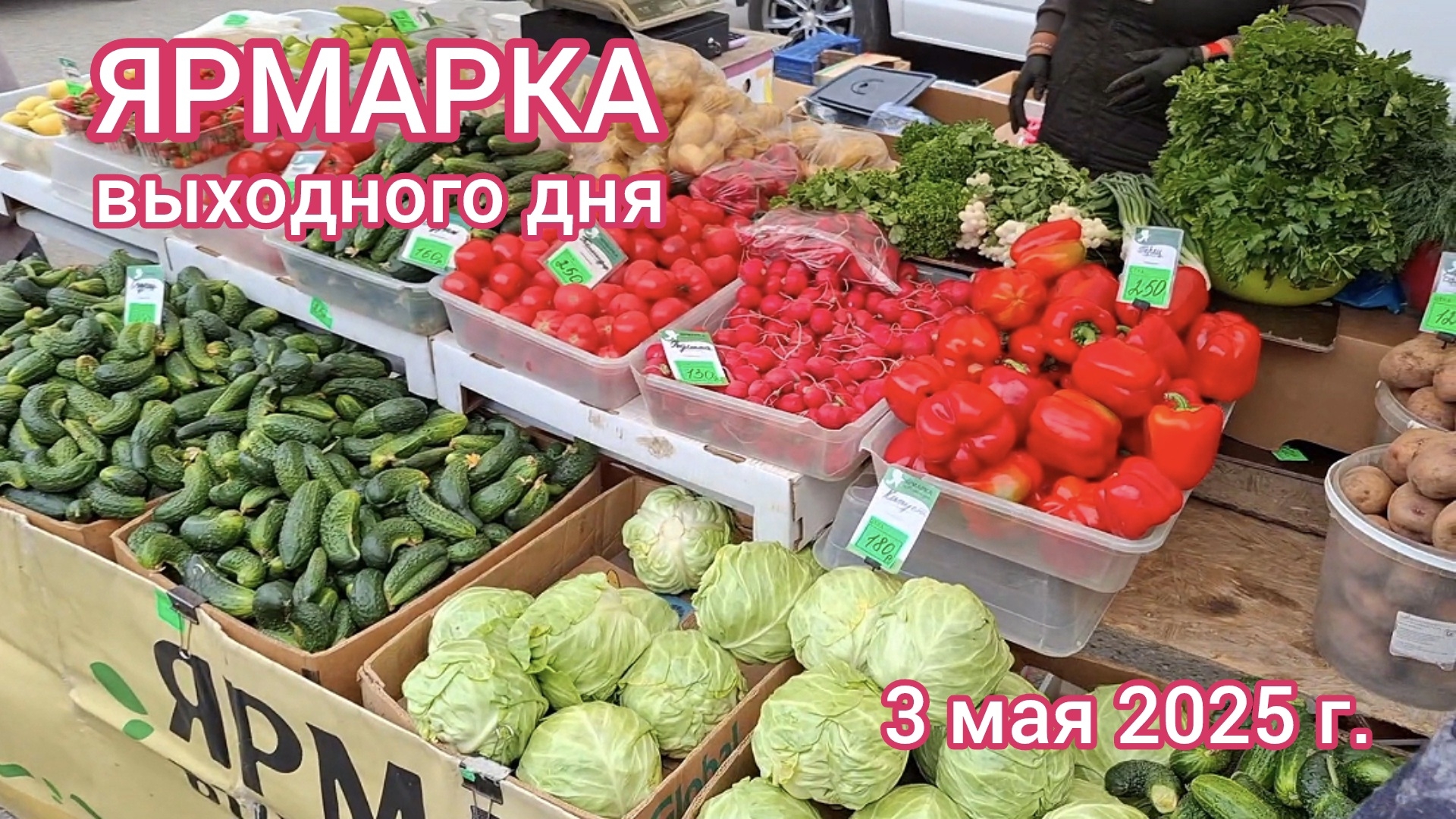 Краснодар - Ярмарка выходного дня на ул. Одесская - цены на продукты - 3 мая 2025 г.