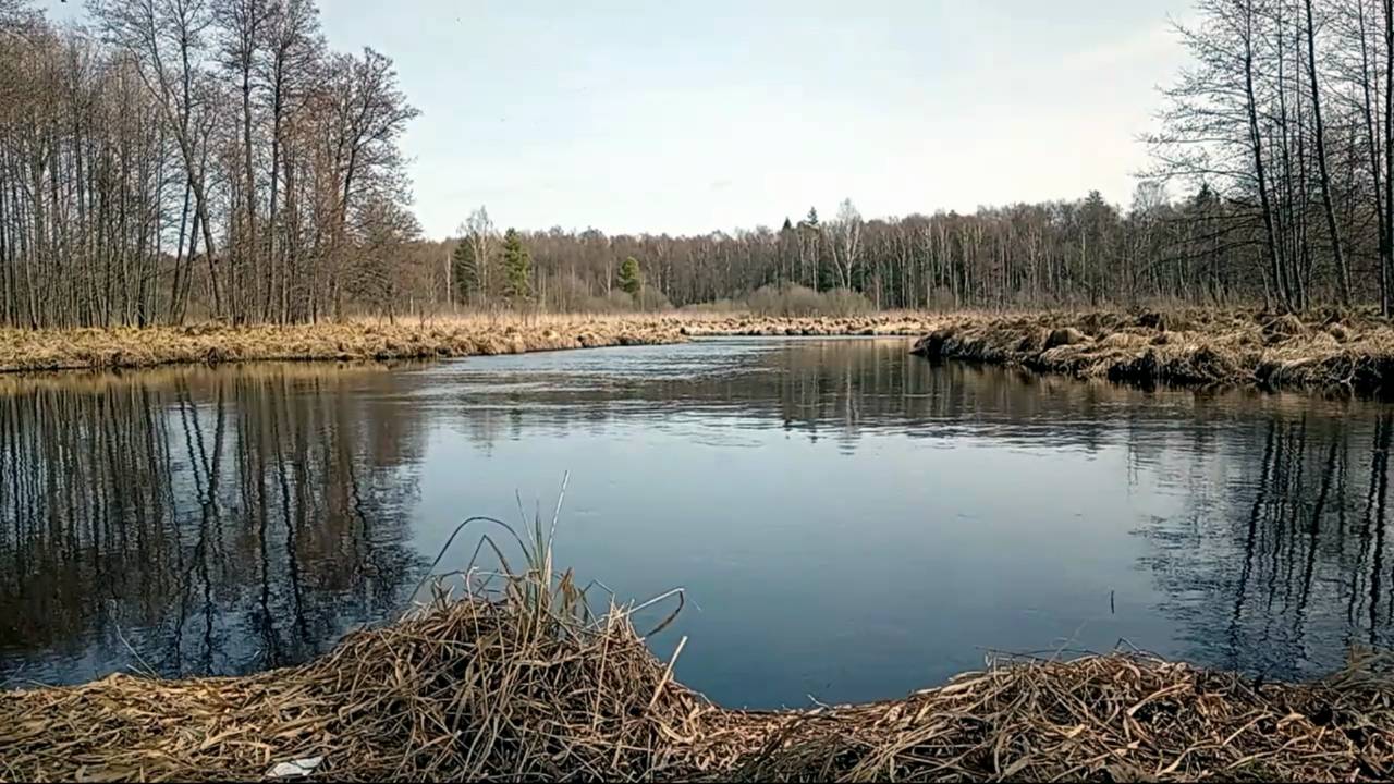 Красивая Природа и Нежные Звуки Природы