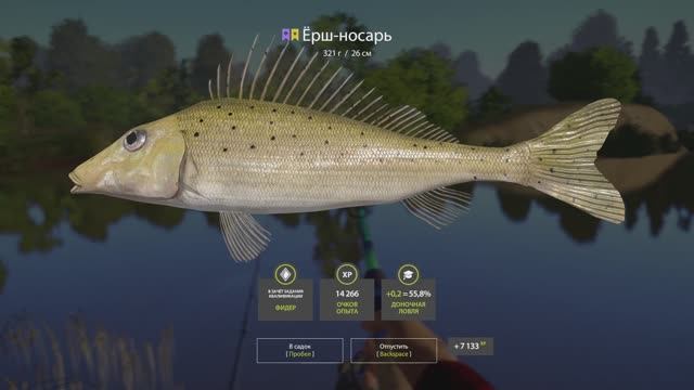 Русская Рыбалка 4 (4 Трофея) р.Вьюнок