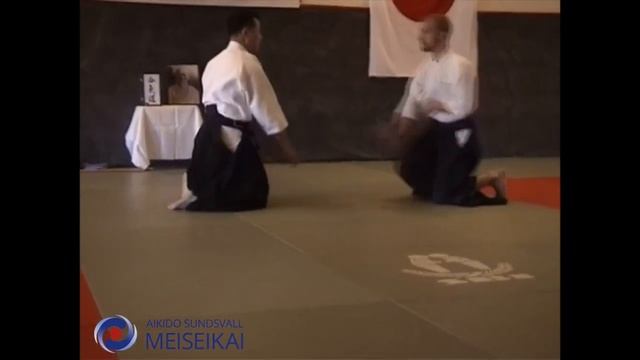 16 Aikido Suwariwaza Shomen Uchi Gokyo Shishiya Sensei, Sundsvall 2004