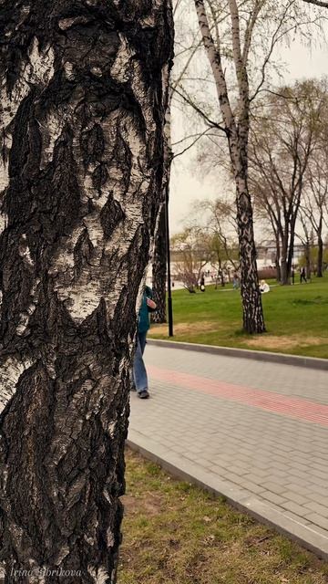 Прогулка по набережной☀️