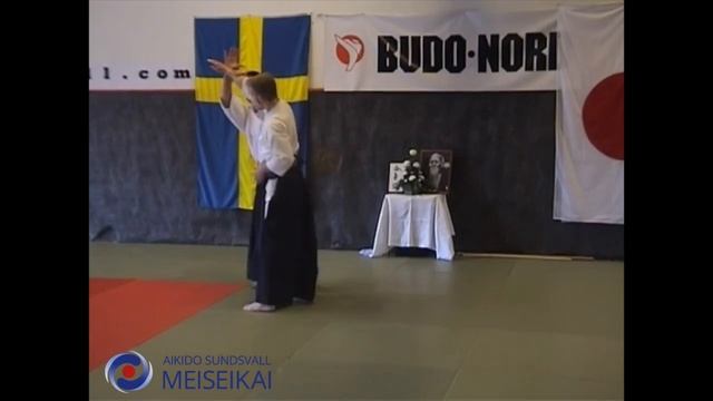 8 Aikido Yokomen Uchi Nikyo, Shishiya Sensei 2003