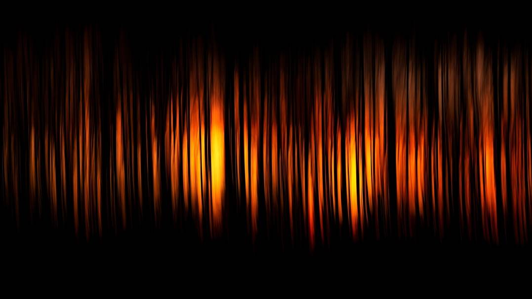 Владимир Швецов - "Спонтанные танцы"