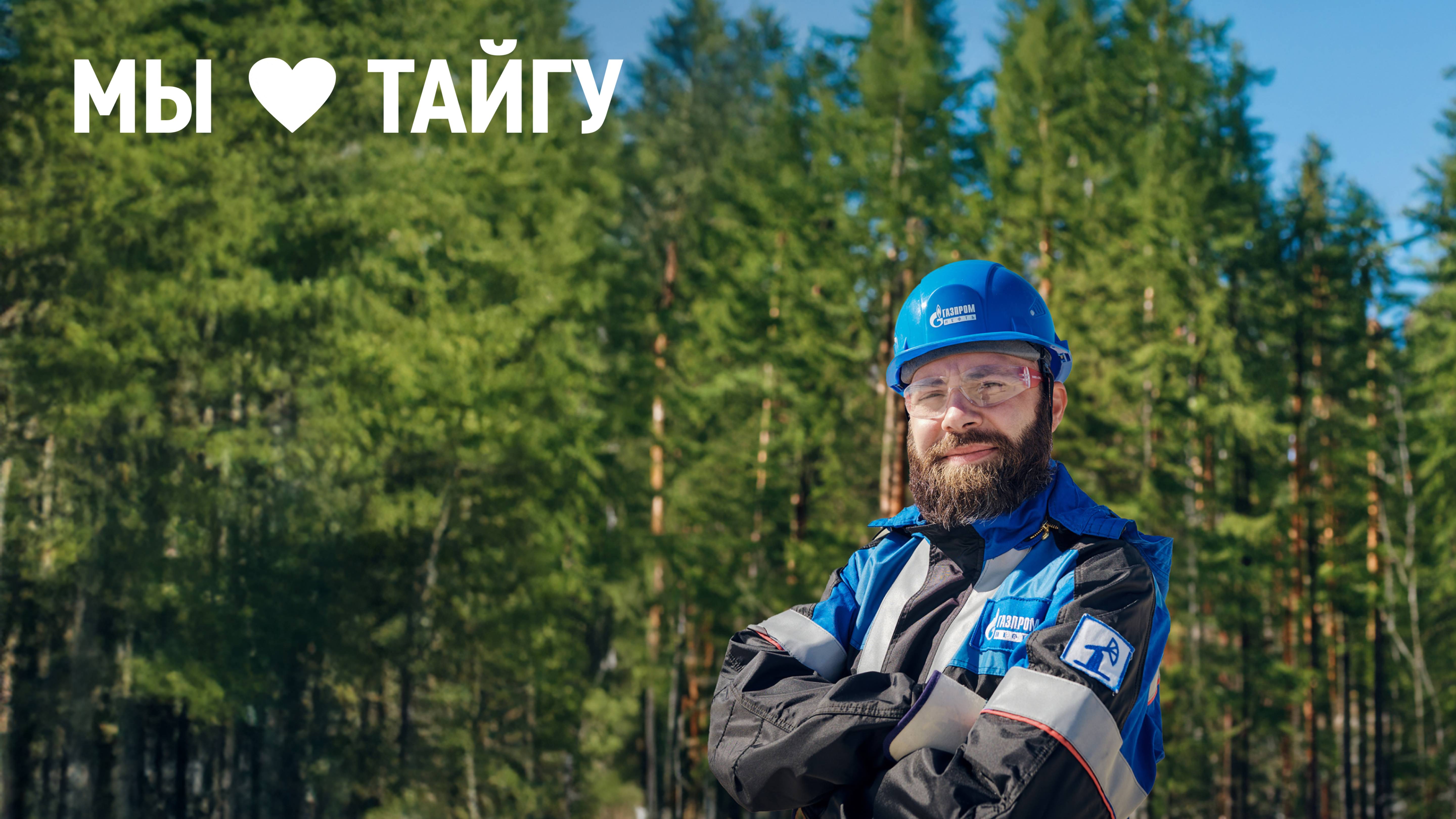 Красота тайги