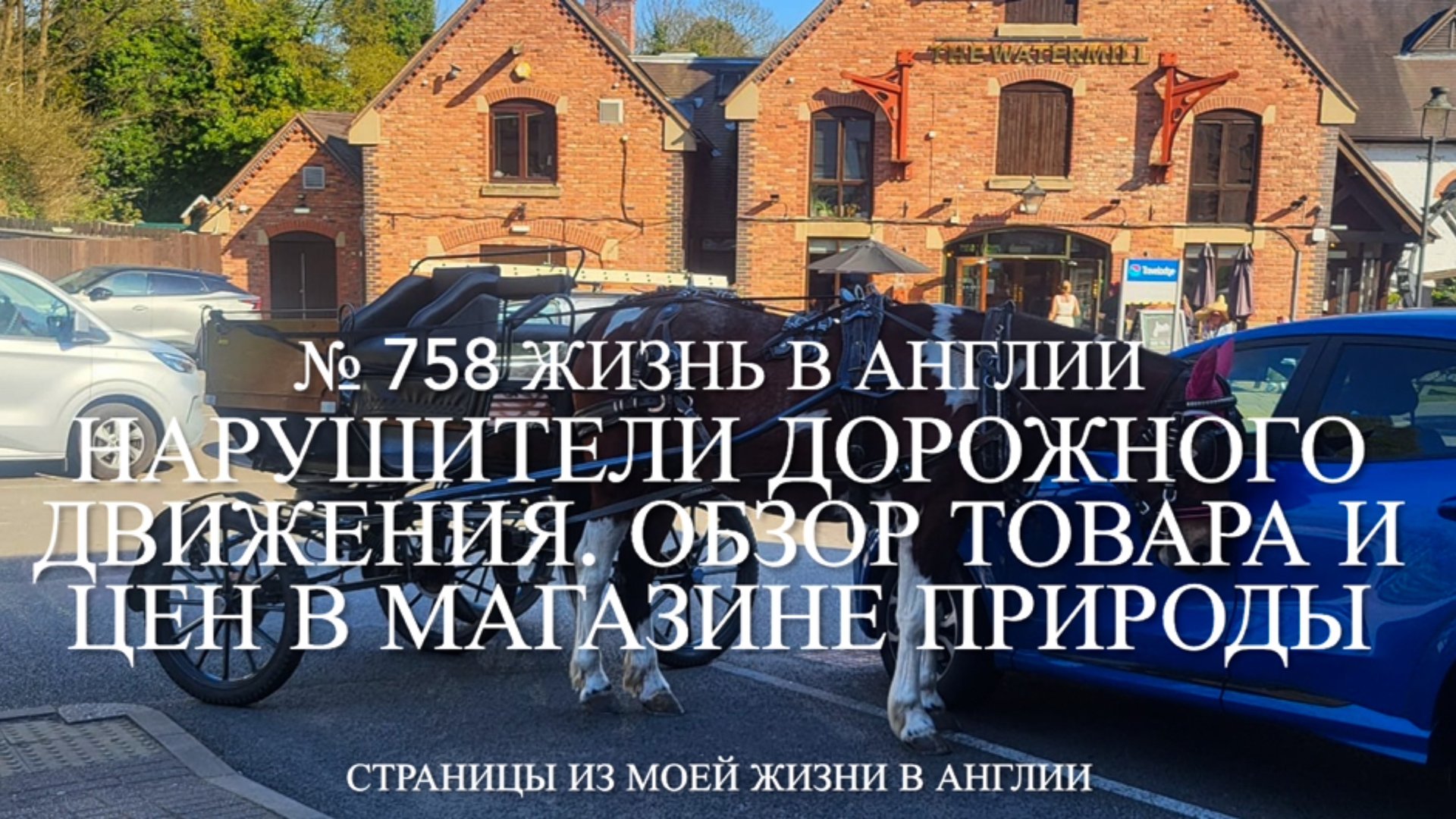 Нарушители дорожного движения. Обзор товара и цен в садовом центре. № 758 Жизнь в Англии