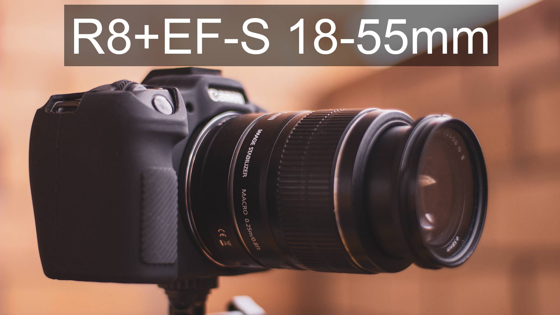 Canon R8 + Canon EF-S 18-55mm f3.5-5.6 IS II в каком-то парке под дожем

#canon #фотография