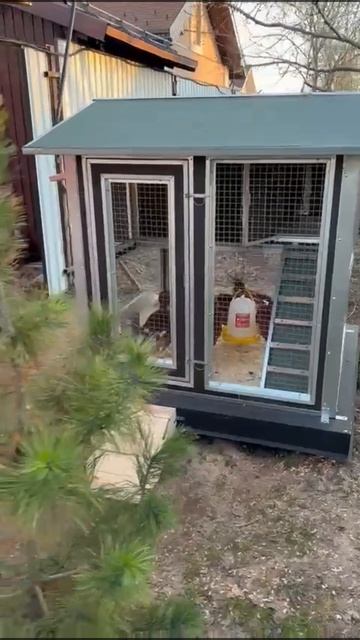 🏡С новосельем! Вот какие прекрасные курочки поселились в домике «ЗИМНЯЯ МЕЧТА» с выгулом и гнездом.