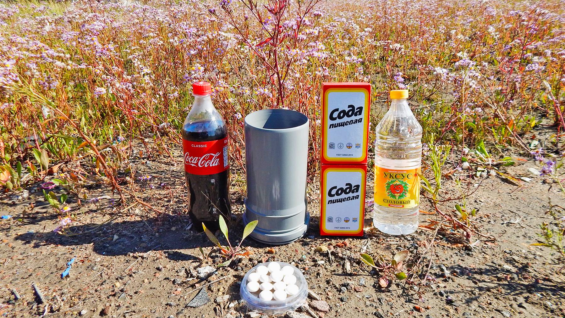 Эксперимент Кока Кола vs Сода, Ментос! Слоновья паста! Experiment Coca Cola vs Soda, Mentos!
