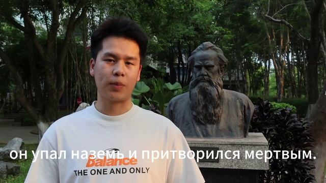 Два товарища, Лев Николаевич Толстой, читает Лю Цзэуэнь