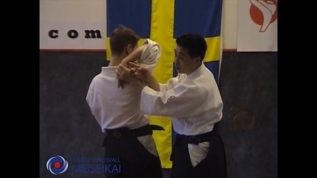 7 Aikido Yokomen Uchi Shihonage, Shishiya Sensei 2003