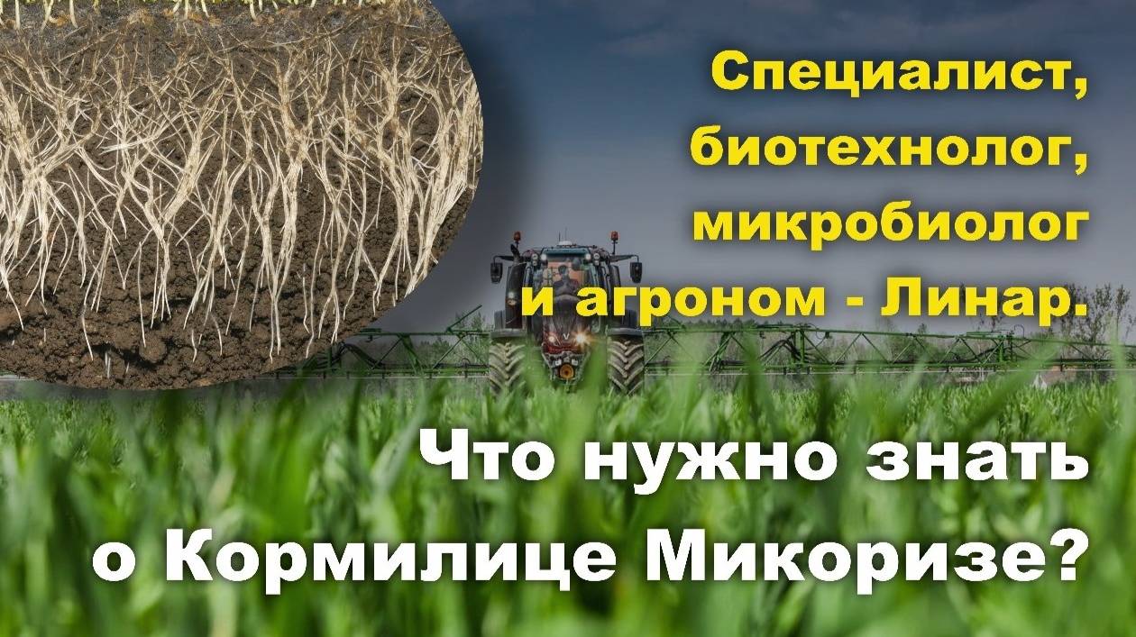 Что такое микориза, для чего она нужна растениям? На вопросы отвечает эксперт компании «БашИнком»