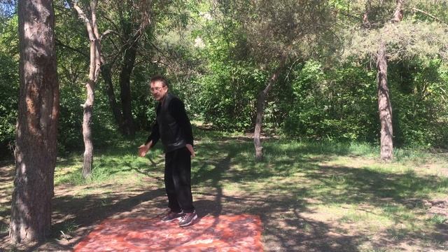 #Боевой_бадуандзинь. "Человек". Таолу боевые броски показ с объяснением