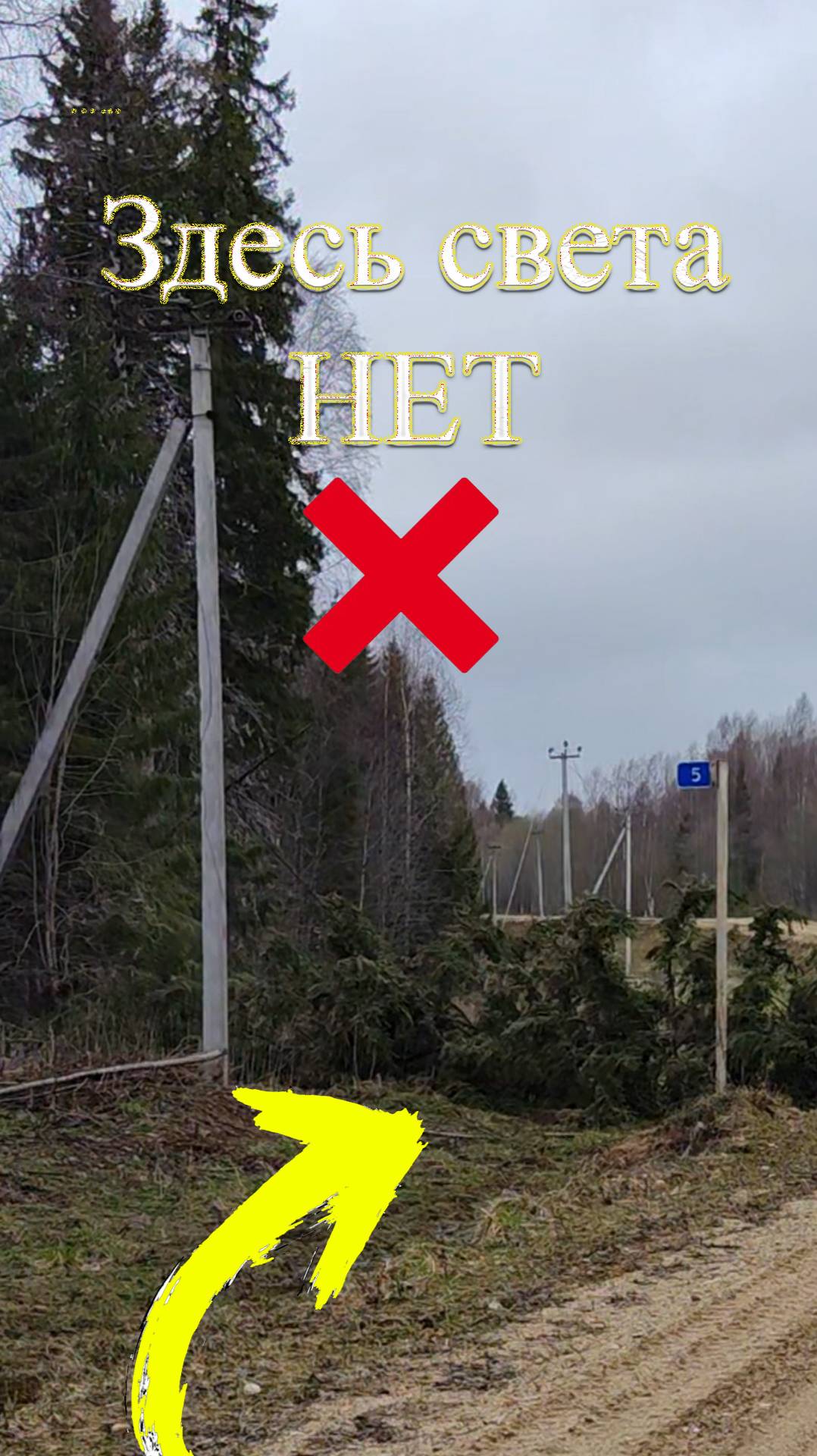 Без света! Ветер повалил деревья на провода. Теперь электрикам работы прибавилось