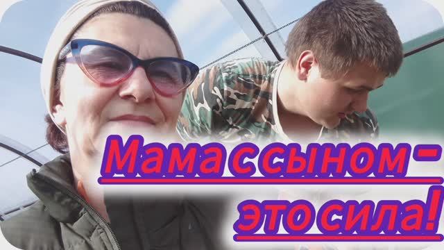 Перекопка сидератов в теплице весной, с ускорением.