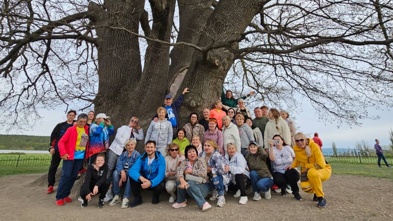 Суворовский дуб. Хостел в Крыму. Отдых и путешествия.