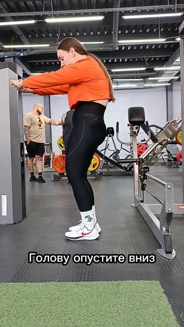 Стрейч мышц спины