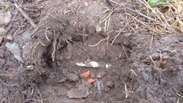 последние выходы сезона 2024 — коп по войне