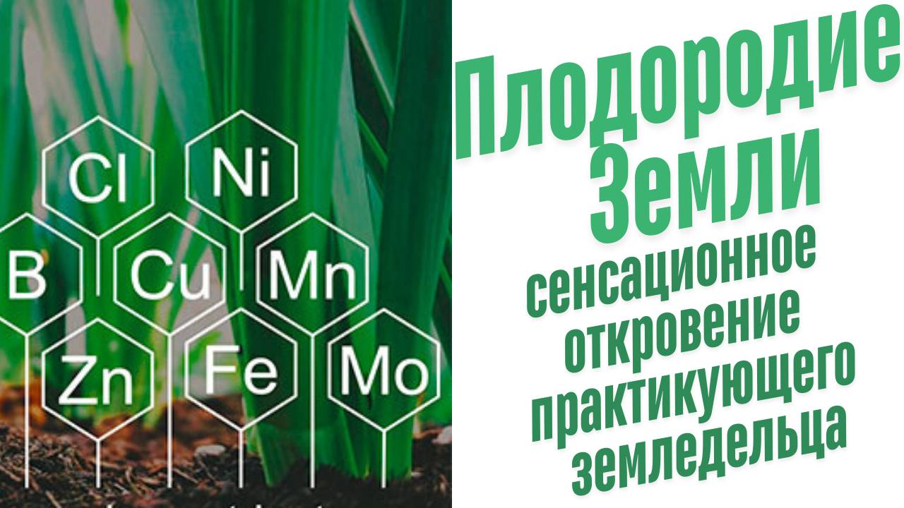 Органическое питание растений.