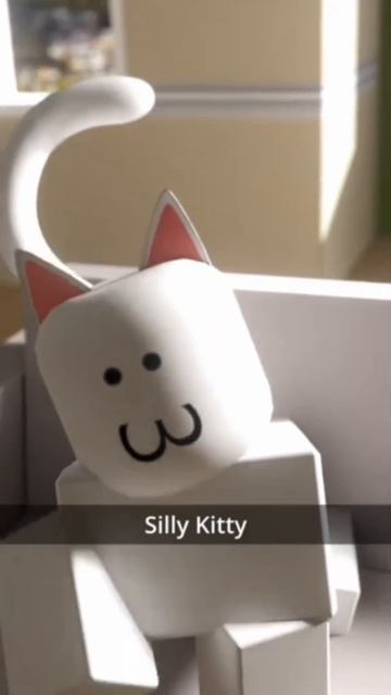 Silly kitty ty ty ty