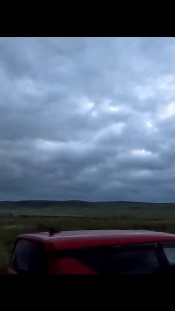 #рыбалка #сом