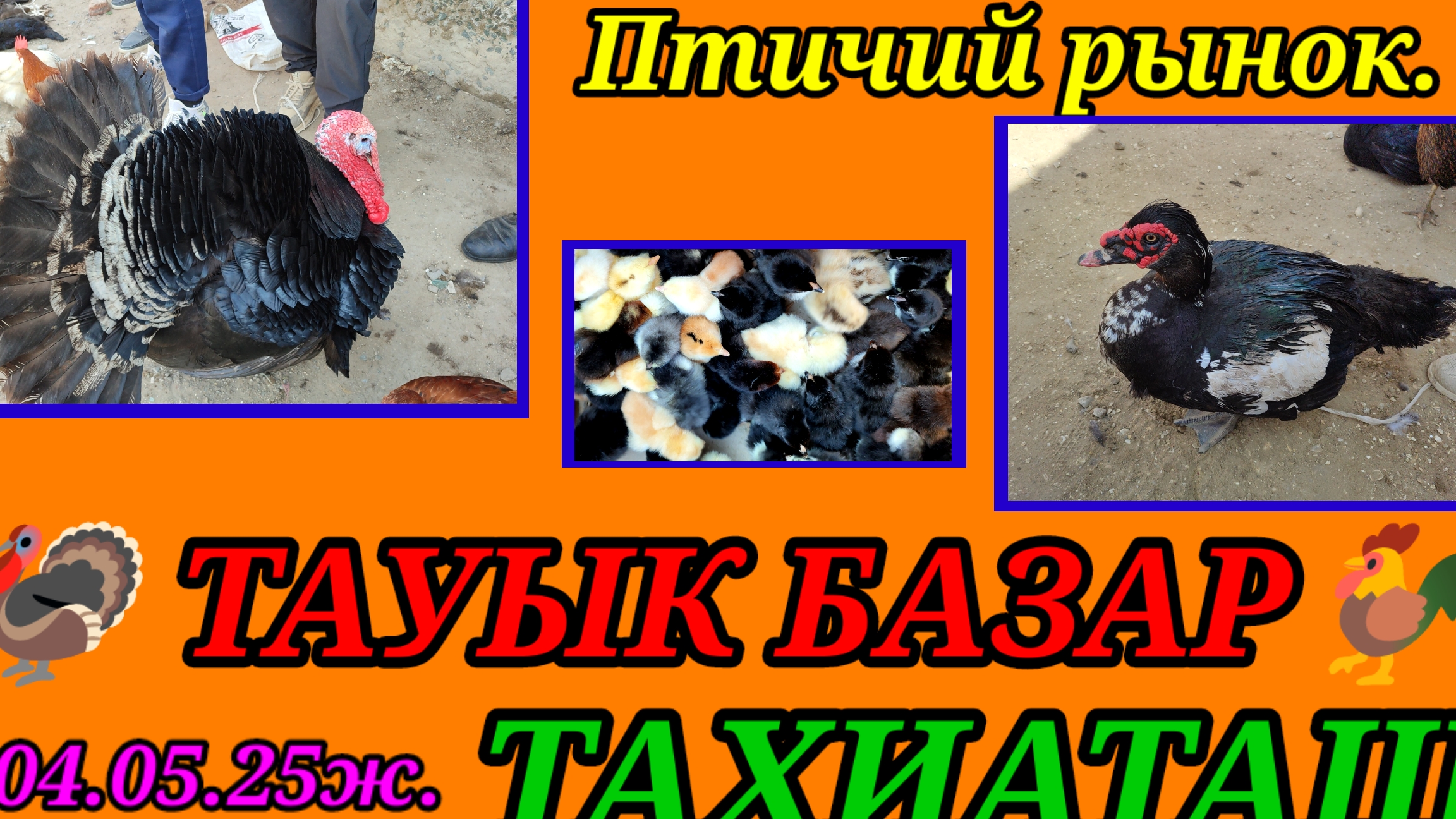 05-05-2025 ПТИЧИЙ РЫНОК 🐓