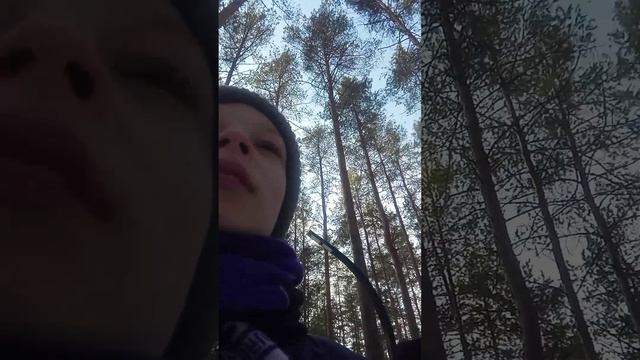 24 часа в лесу ! челендж.1 часть