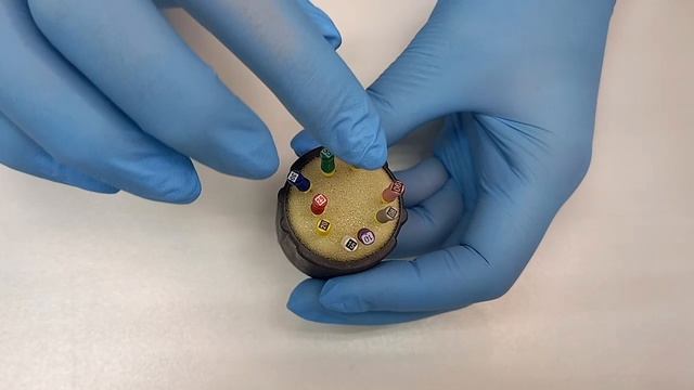 Эндодонтия