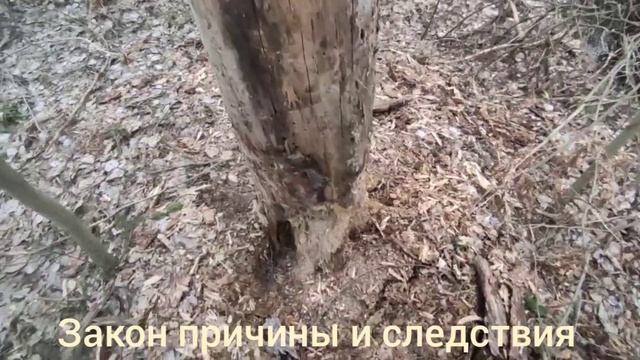 Роберт Адамс закон причины и следствия