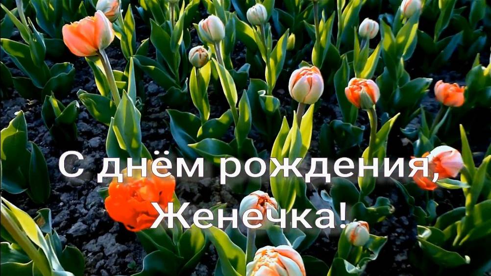 С ДР, Женечка. Стихи - Э.Роузи, генерация звука в ИИ - В.Гарсия, монтаж - Е.Доставалов