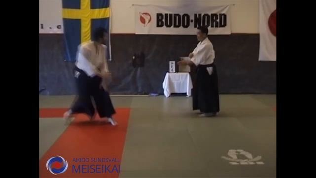 8 Aikido Katadorimenuchi Sankyo Shishiya Sensei, Sundsvall 2004