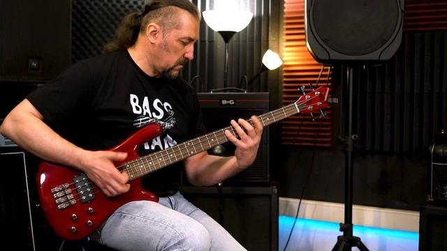 Бас-гитара SX-SWB1