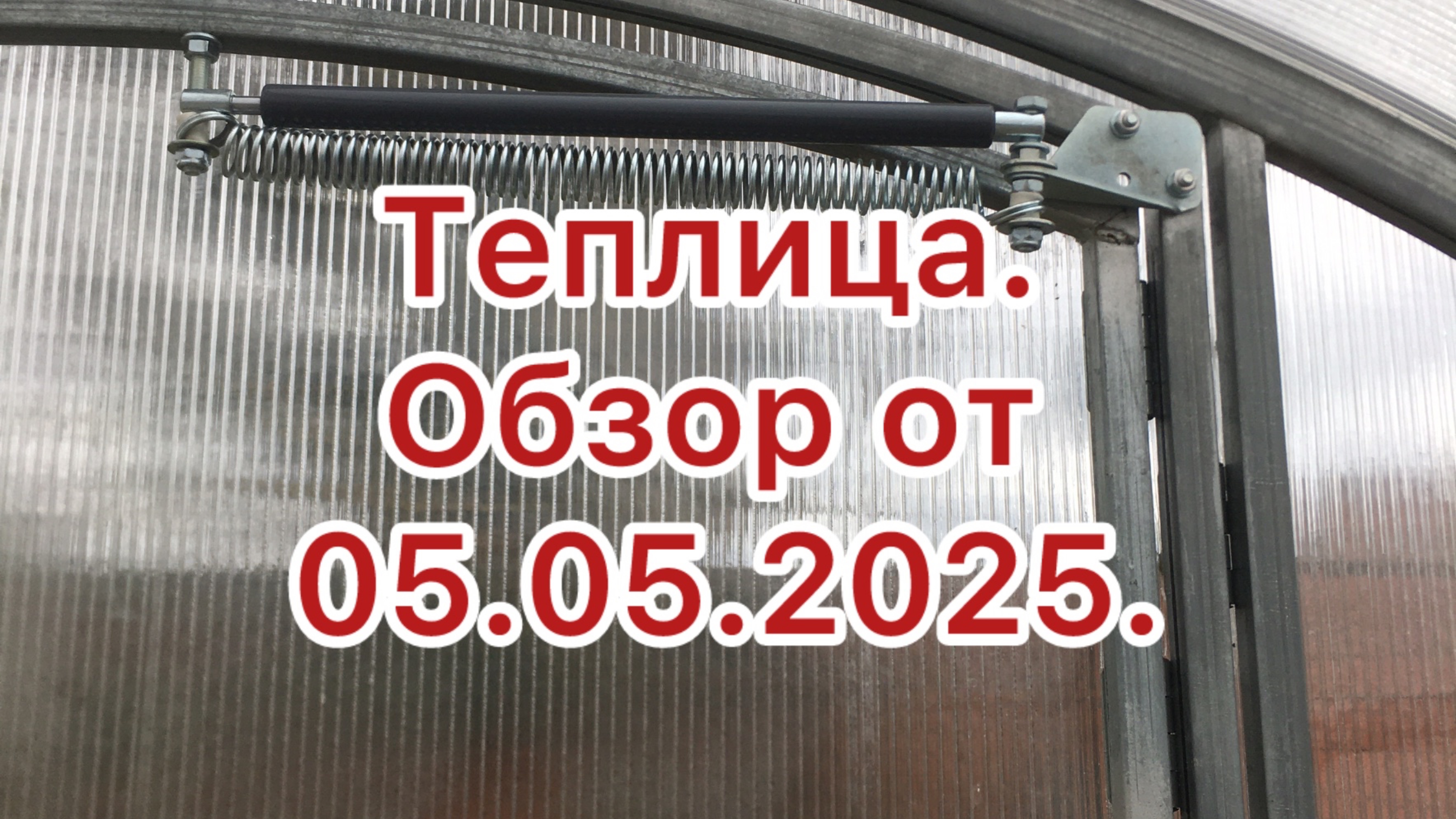 Теплица обзор 05.05.2025