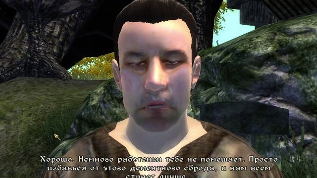 Oblivion 165. Великое разделение