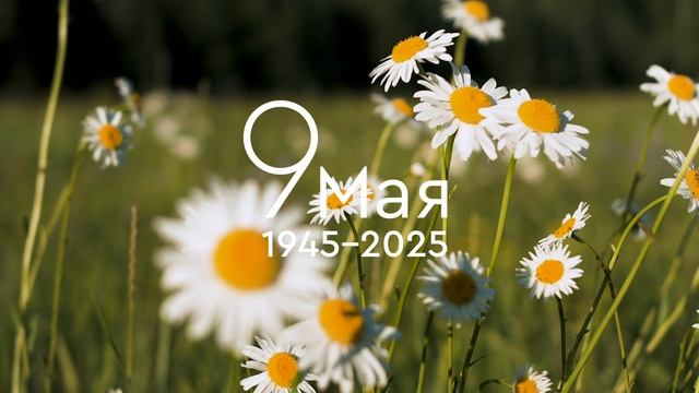 80 лет Великой Победе. Цветы